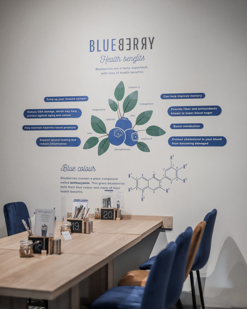 Gallery – Blueberry Brunch