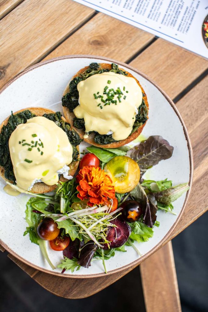 Gallery – Blueberry Brunch